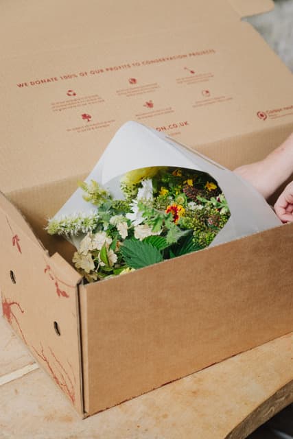 Petalon Flowers Case Study - RH Fibreboard Containers – Corrugated ...